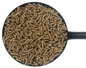 High Fibre Nuts - Fibre Rich Nuts | Dodson Horrell