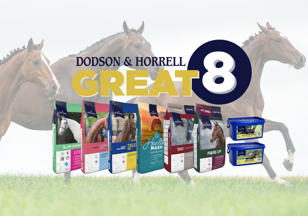 The Dodson & Horrell ‘Great 8’ | Dodson Horrell