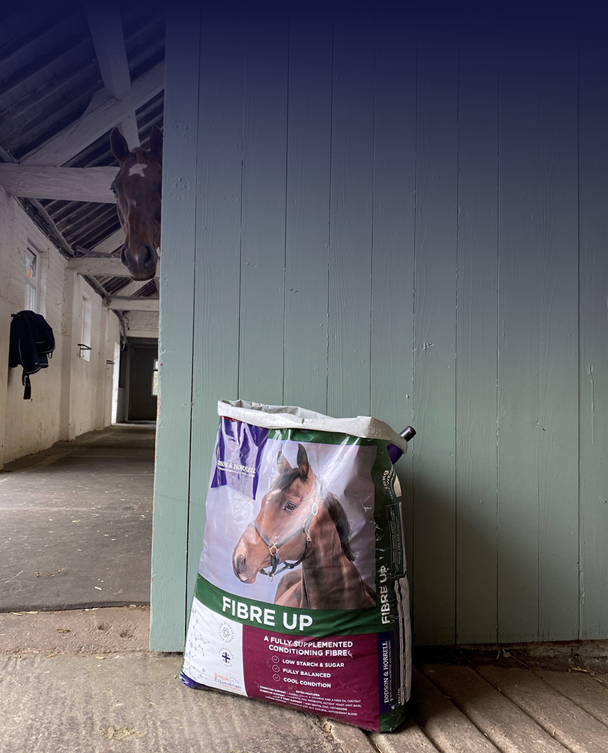 Horse Feed Specialists | Feeding success for over 80 years