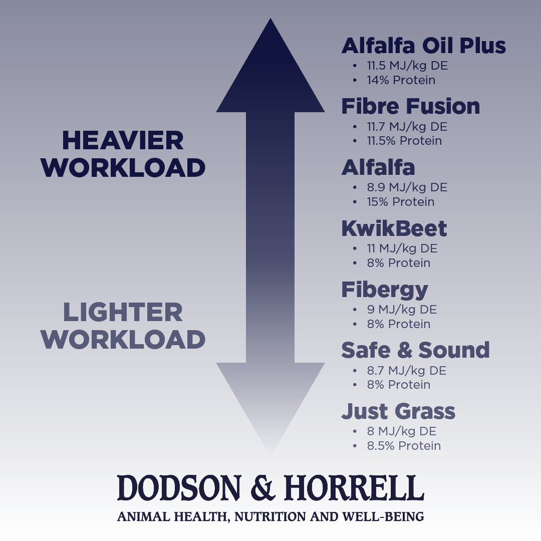 Forage 101 - How to Choose the Right One for Your Horse | Dodson Horrell