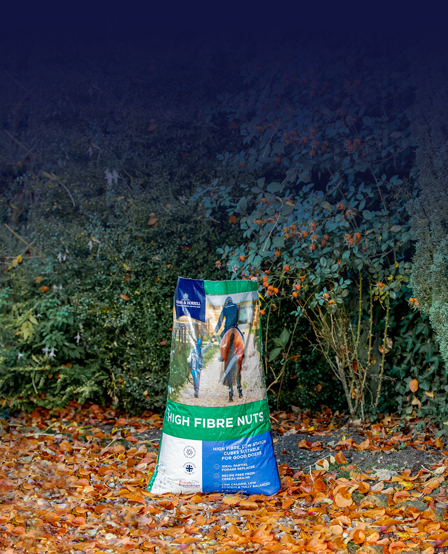 Horse Feed Specialists | Feeding success for over 80 years