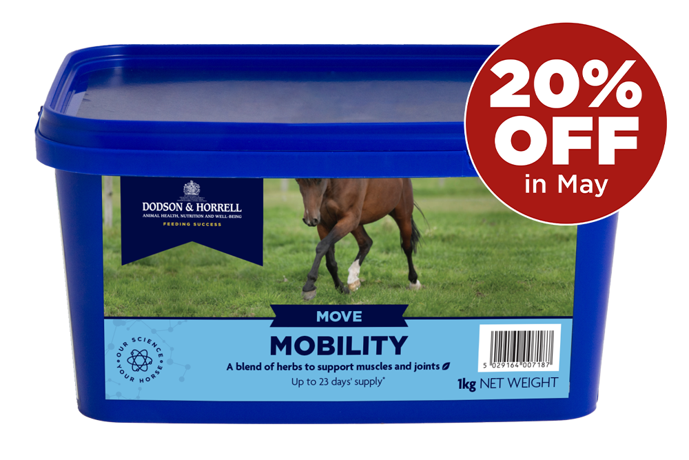 Mobility | Helps support mobility | Dodson Horrell