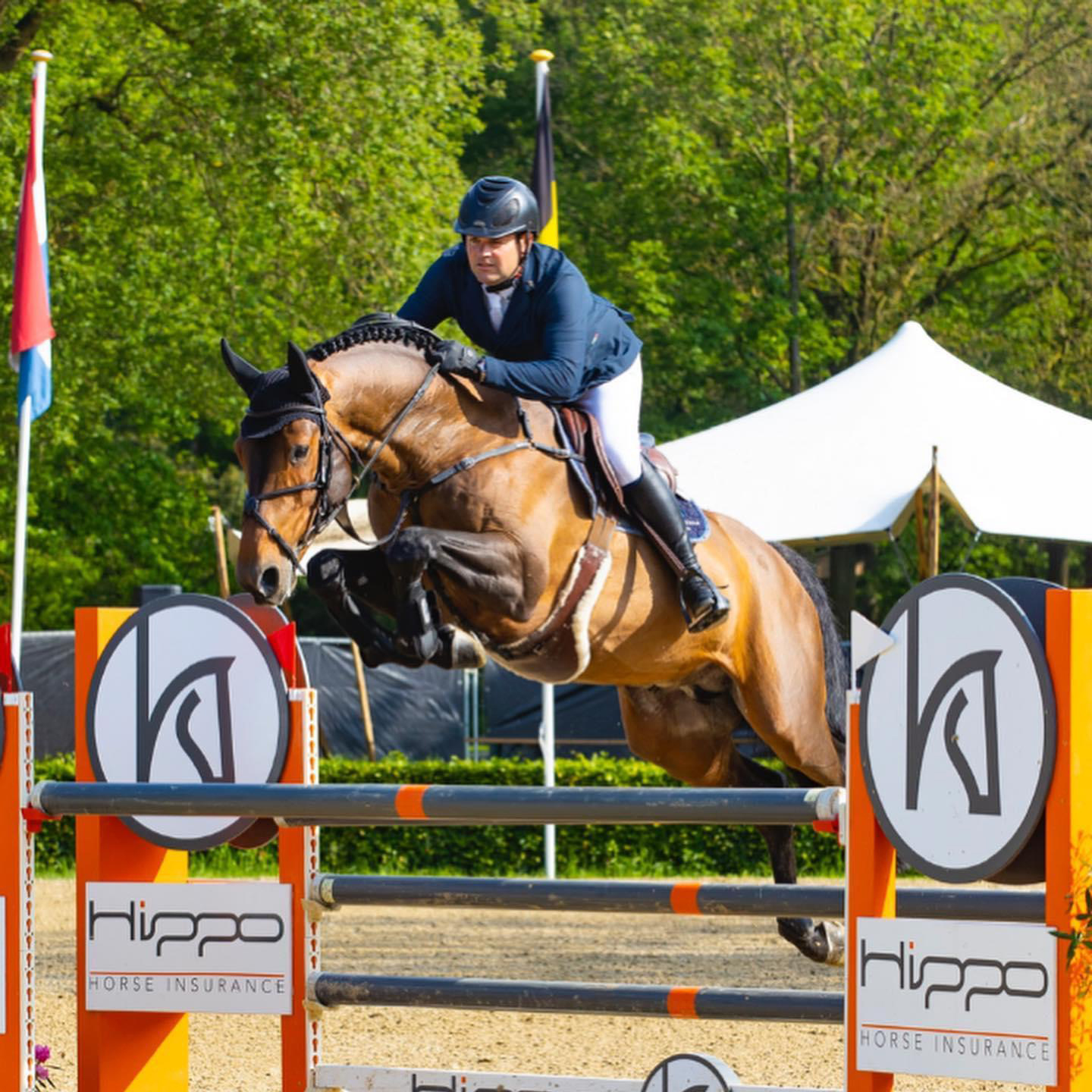 Tom Brinkman | Dodson Horrell